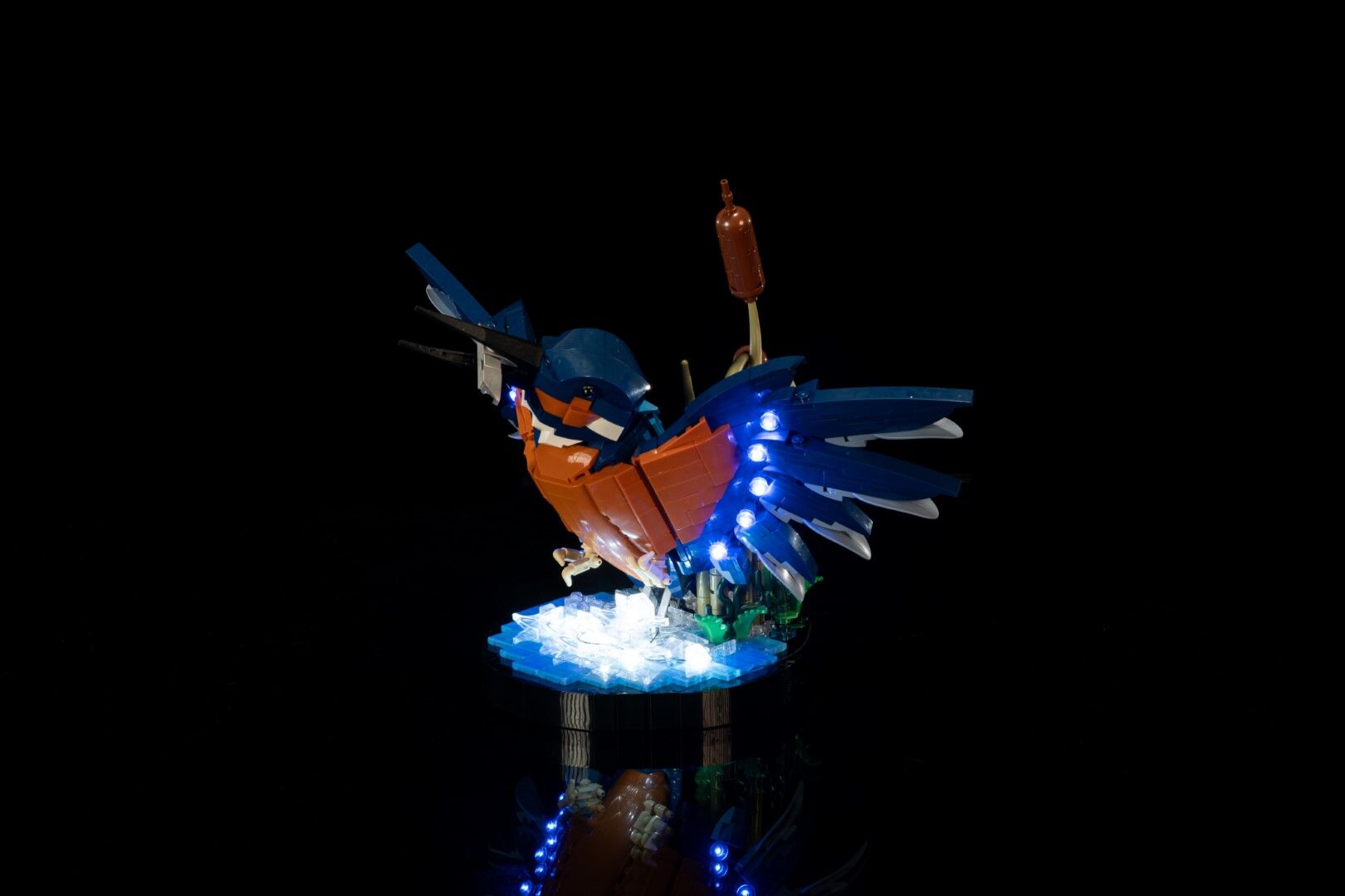 Kingfisher Bird 10331 LED Lighting Kit – Glow Bricks